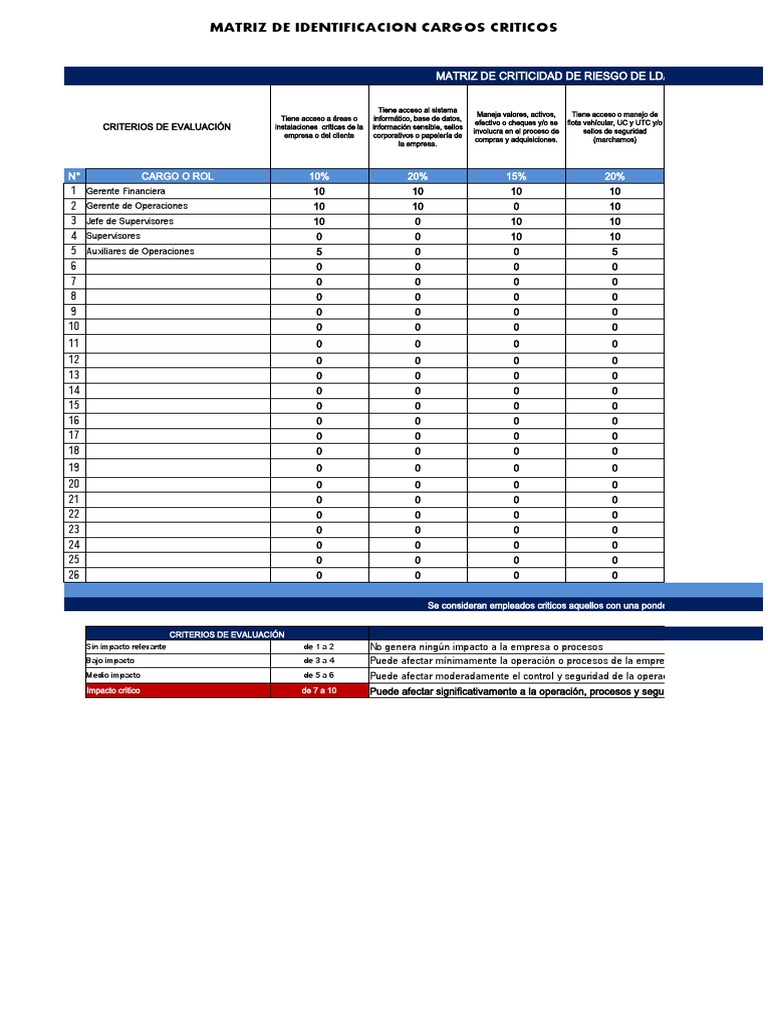 Matriz Analisis Cargos | PDF | Business