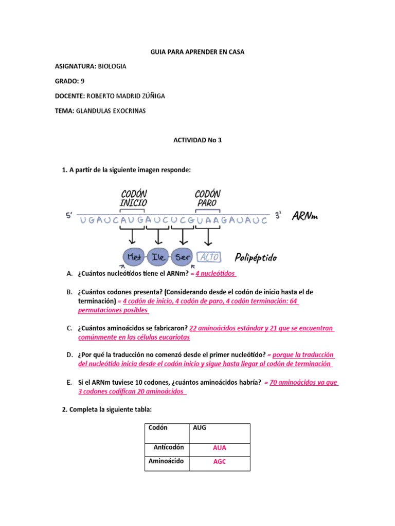 Actividad de Traduccion | PDF