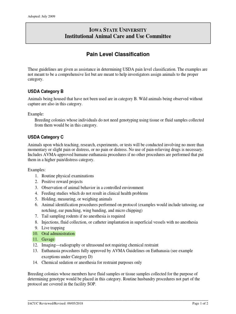 USDA Pain Classification | PDF | Anesthesia | Surgery