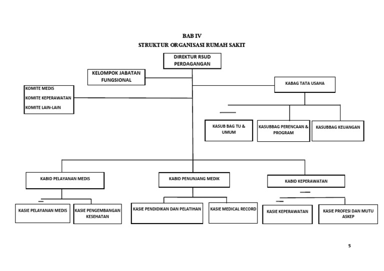 Struktur Organisasi Rumah Sakit | PDF