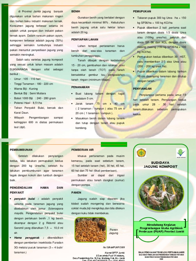Leaflet Budidaya Jagung Komposit | PDF