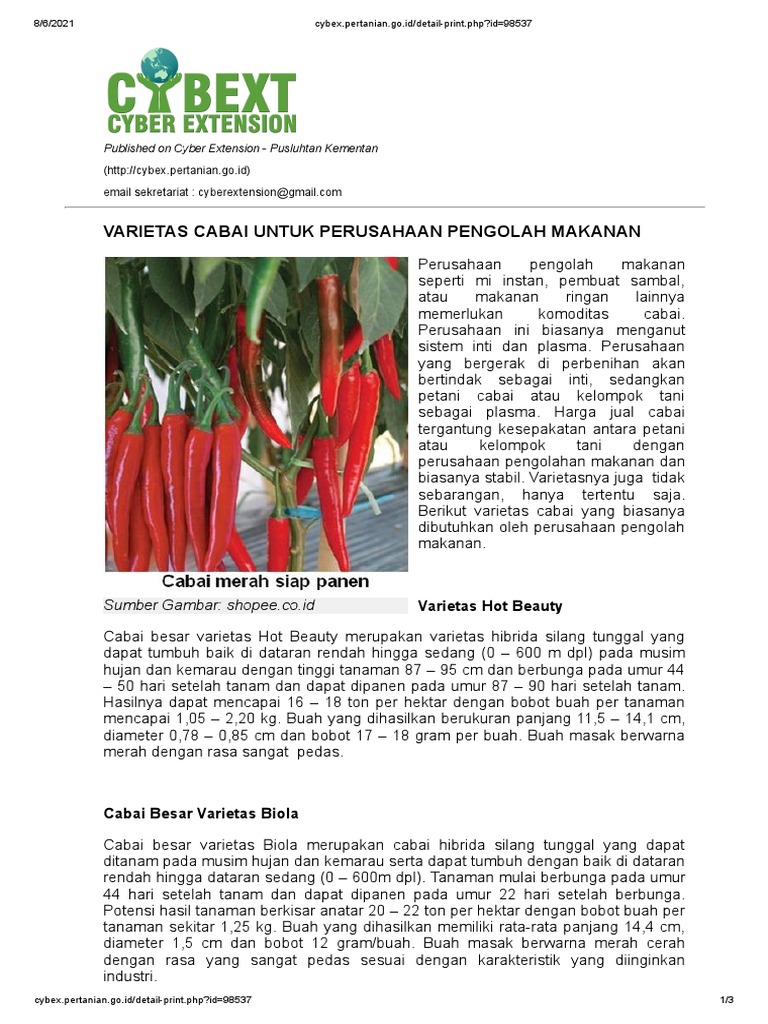Varietas Cabai untuk Industri | PDF | Griya & Taman