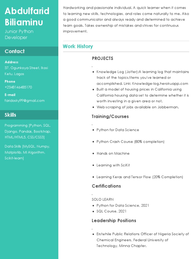 Aspiring Python Developer Profile | PDF | Computing