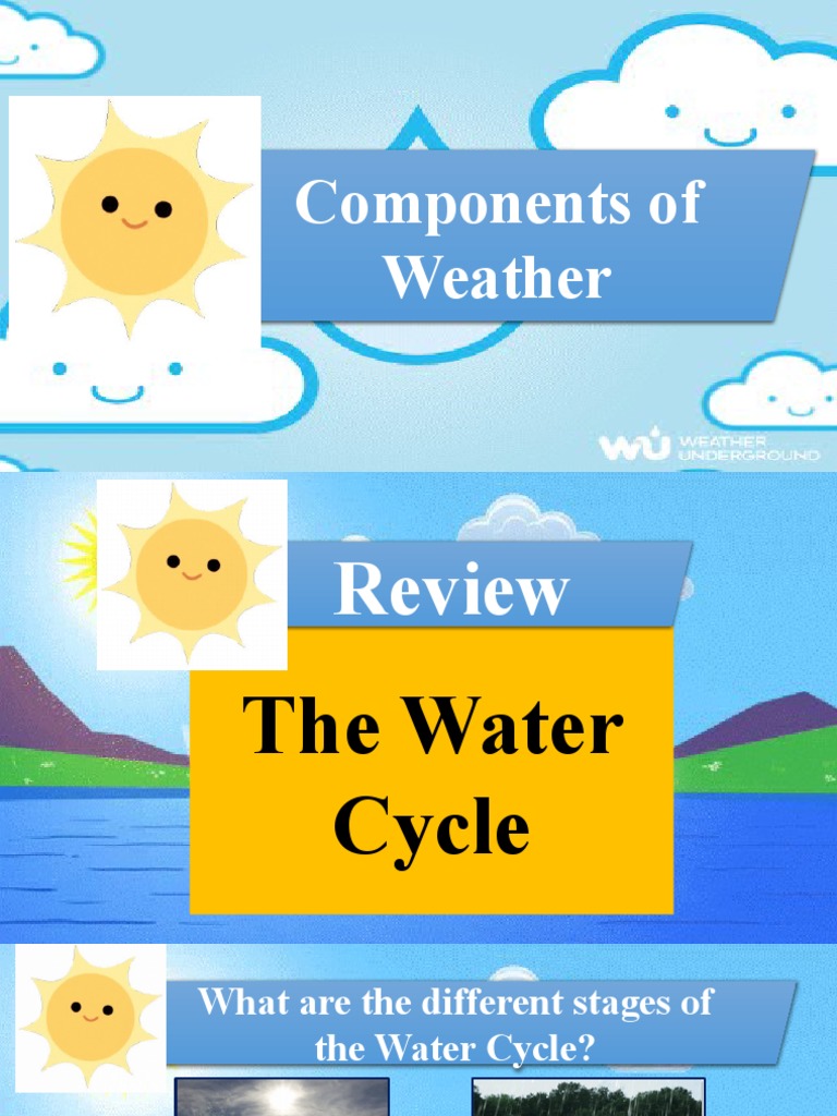 ATDC (Science4) - Components of Weather | PDF | Water Vapor ...