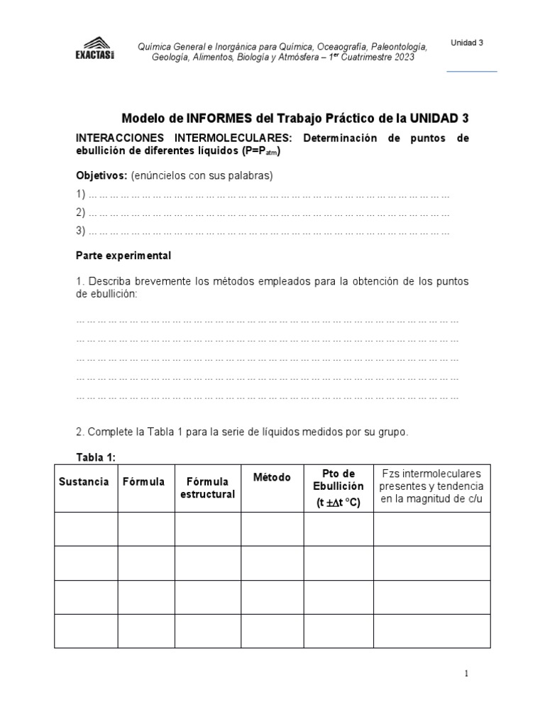 Modelo de Informe | PDF
