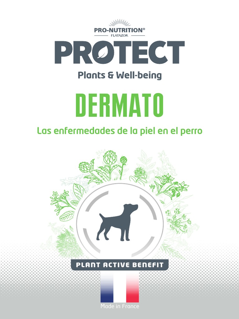 Caso Clínico Protect Dermato FINAL | PDF | Piel | Dieta