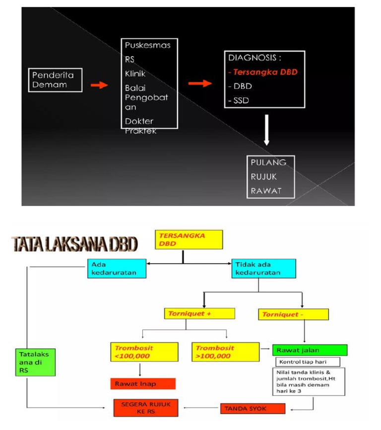 Tatalaksana DBD | PDF