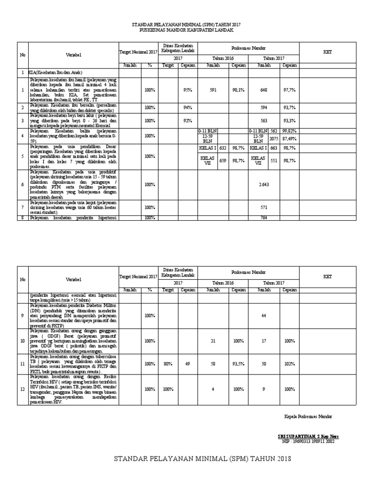 Standar Pelayanan Minimal | PDF