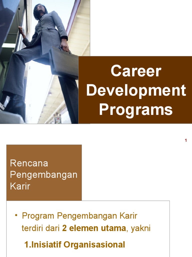 Designing Career and Talent Development Programs | PDF