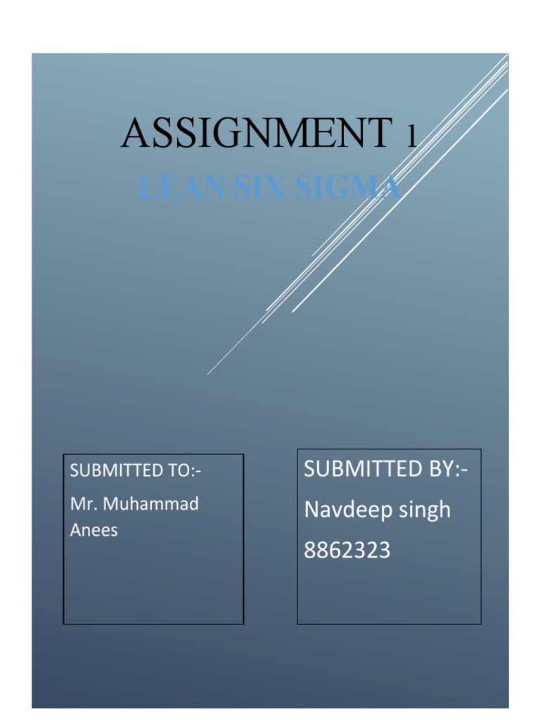 Lean Six Sigma Assignment | PDF | Economies | Secondary Sector Of The Economy