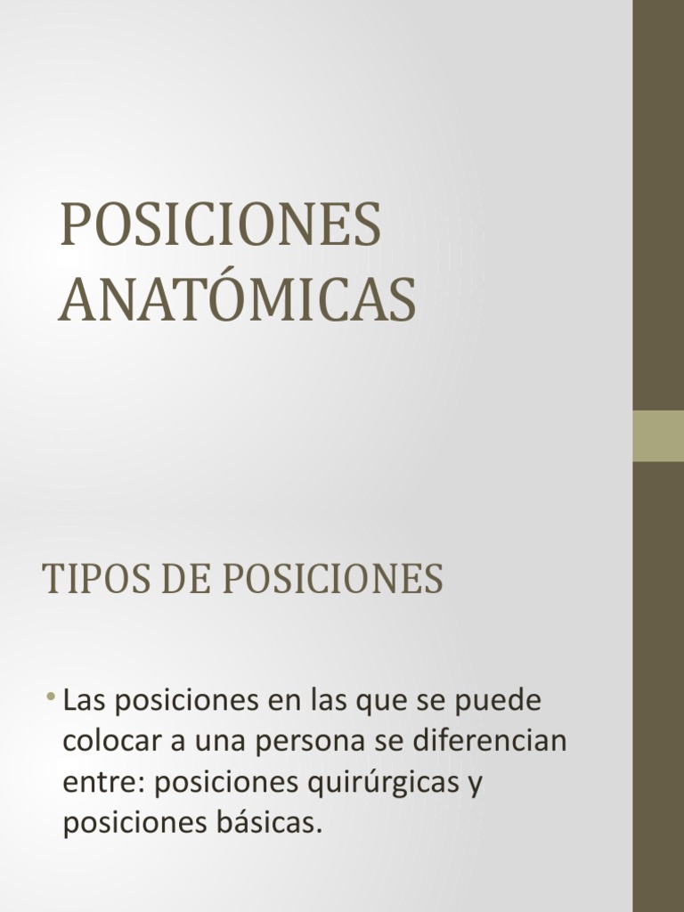 Posiciones Anatómicas | PDF | Abdomen | Anatomía humana