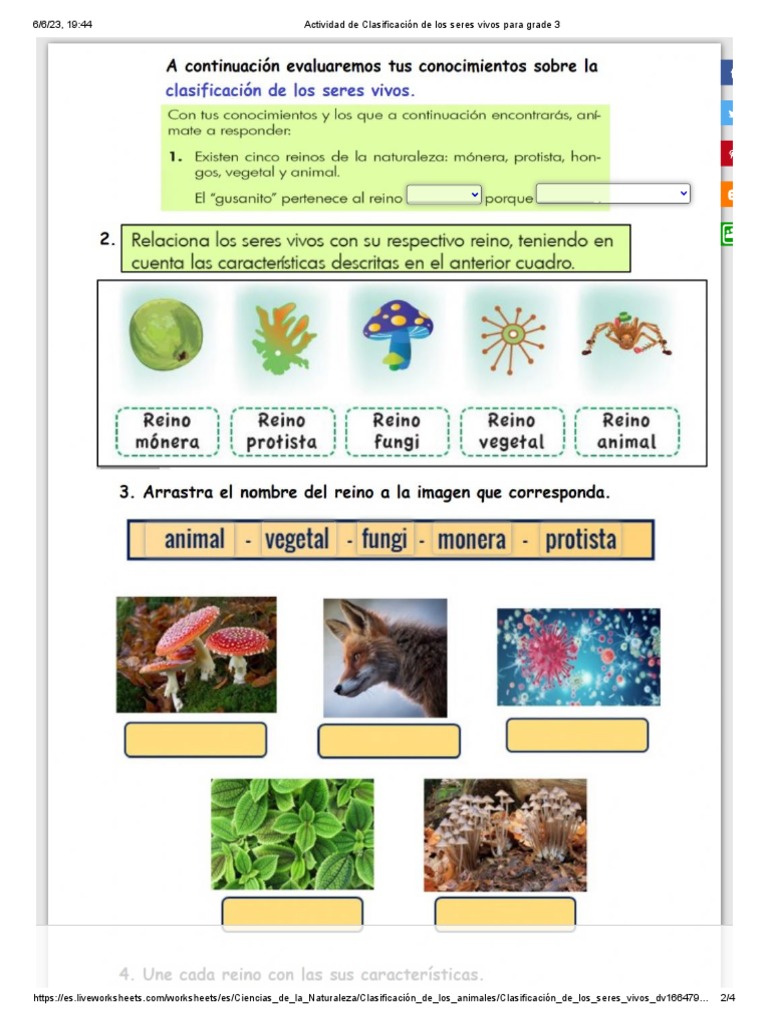 Actividad de Clasificación de Los Seres Vivos para Grade 3 | PDF
