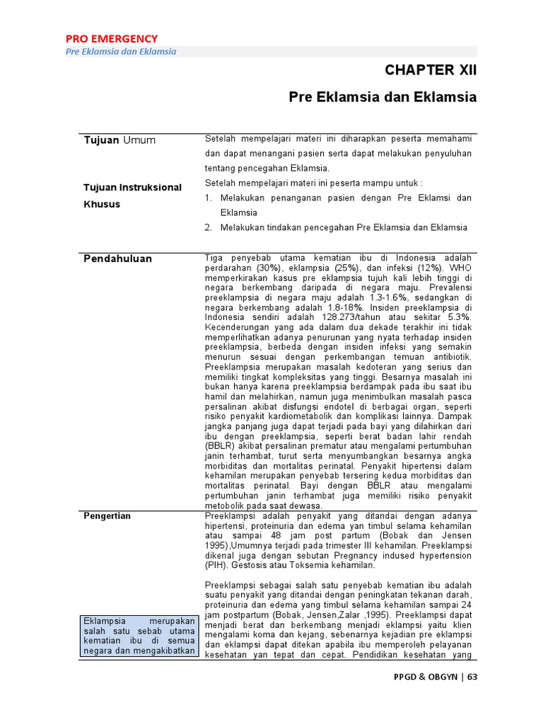 BAB. 12 Pre Eklampsia & Eklamsia | PDF | Kesehatan Holistik