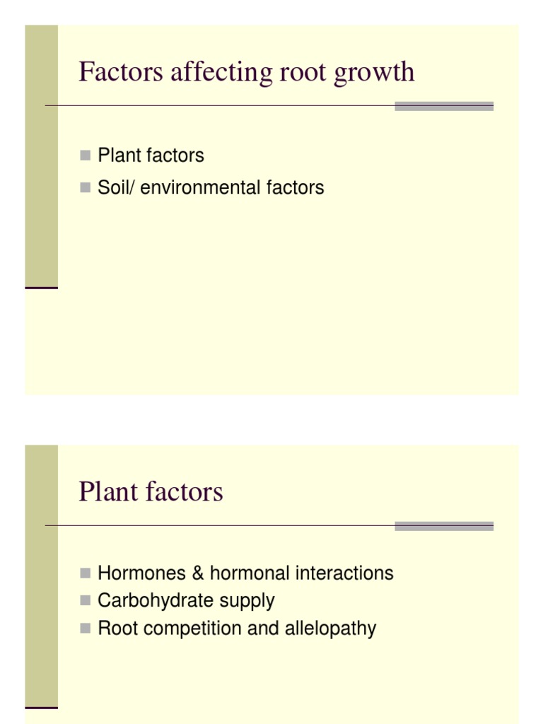 05 Factors Affecting Root Growth | PDF | Root | Soil
