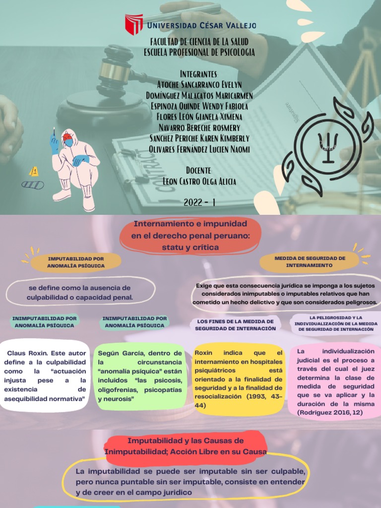 Internamiento e Inimputabilidad en El Derecho Penal Peruano | PDF ...