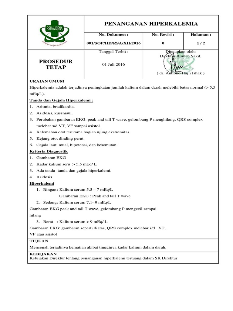 SPO HD RS Avisena | PDF