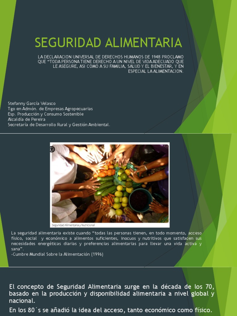 Seguridad Alimentaria | PDF | Seguridad alimentaria | Alimentos