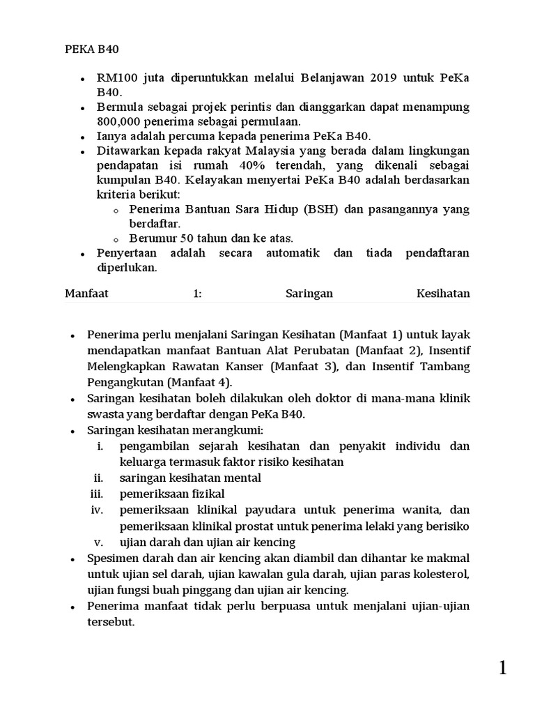 Peka B40 | PDF