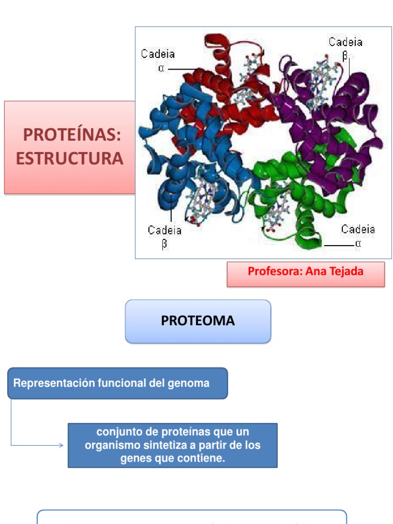 ESTRUCTURA Proteinas | PDF | Proteínas | Hoja Beta