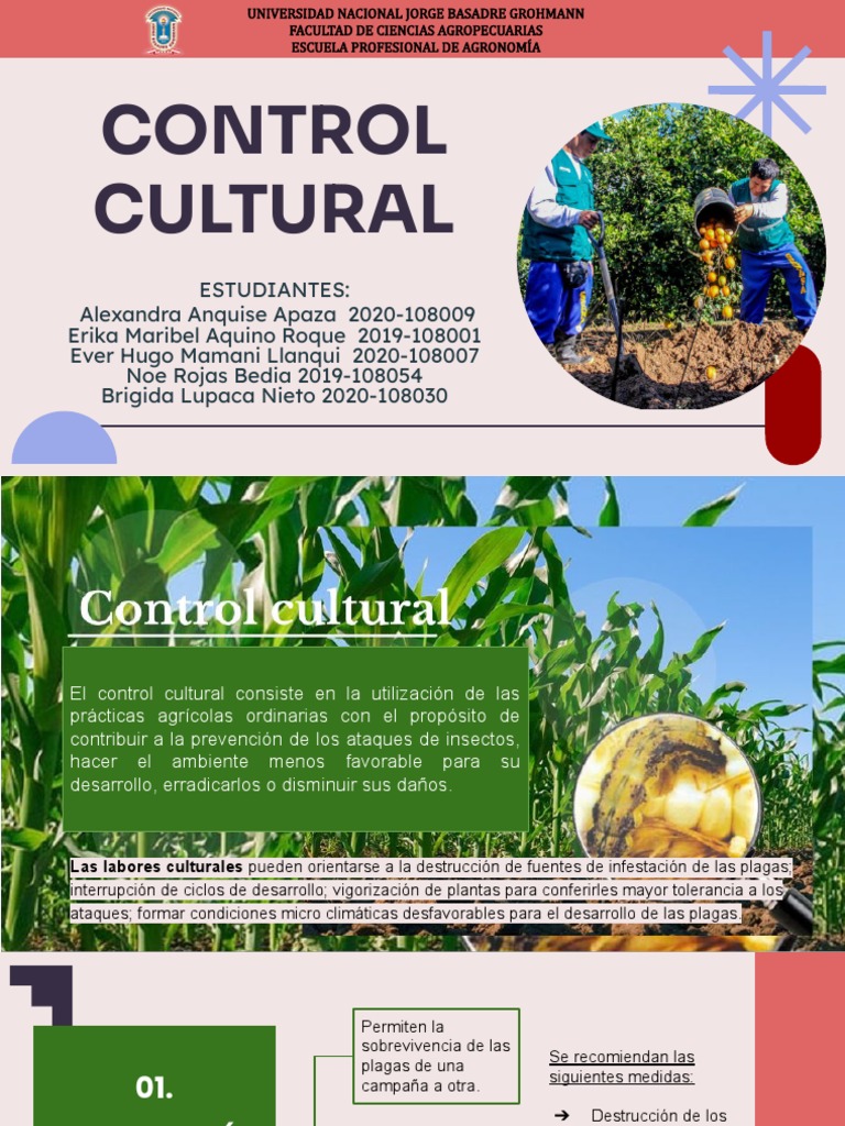 Control Cultural | PDF | Ciencia y matemáticas