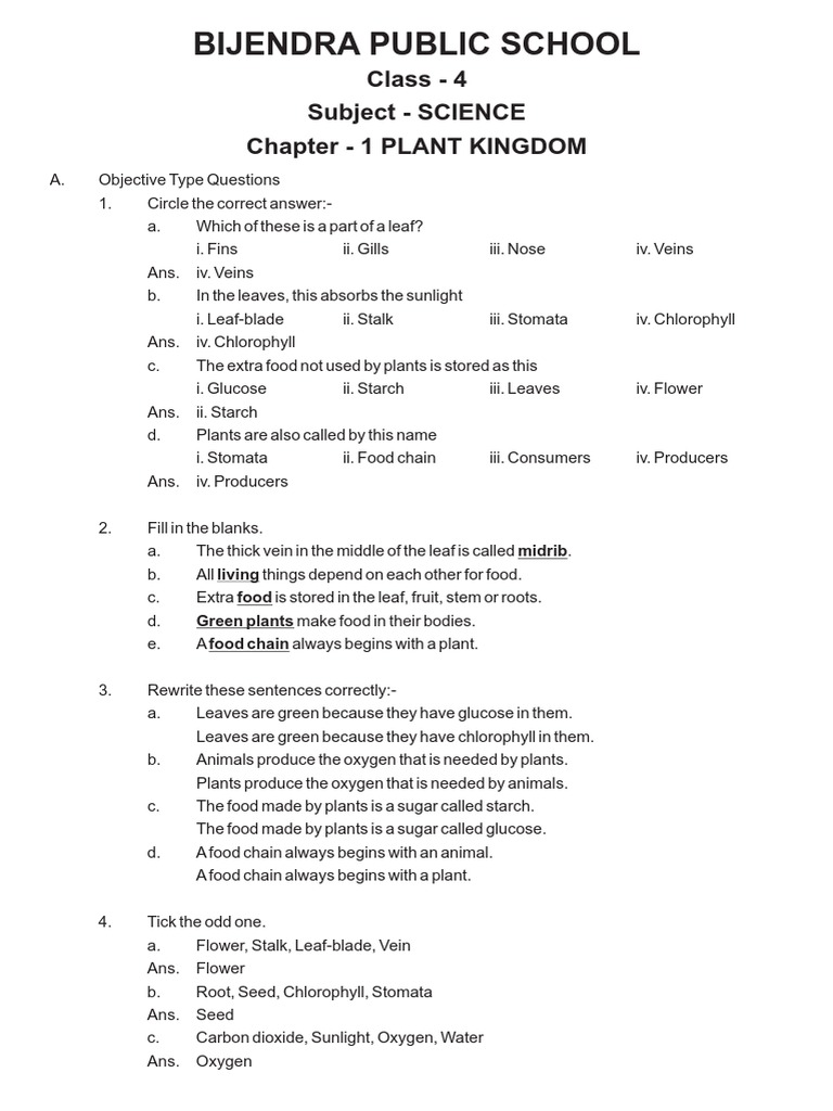 Class 4 Science: Plant Kingdom Overview | PDF | Leaf | Plants