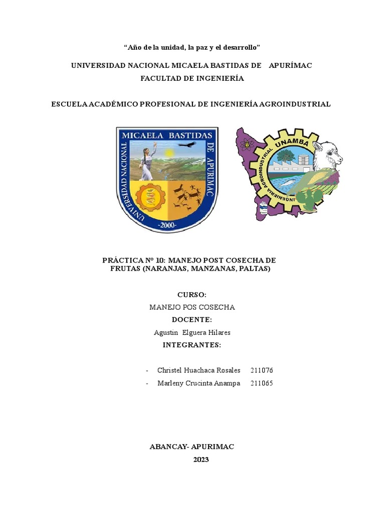 MPC Práctica 10 Frutas F | PDF | Marketing | manzana