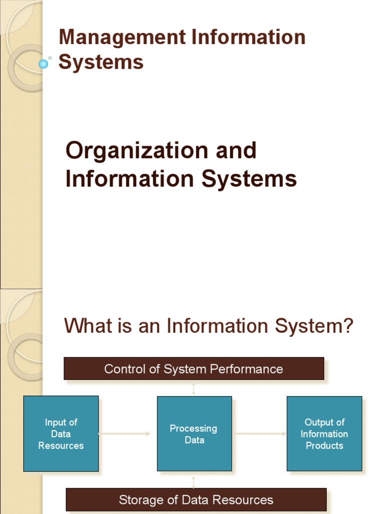 Organization and Information System Final | PDF | Information System | Input/Output