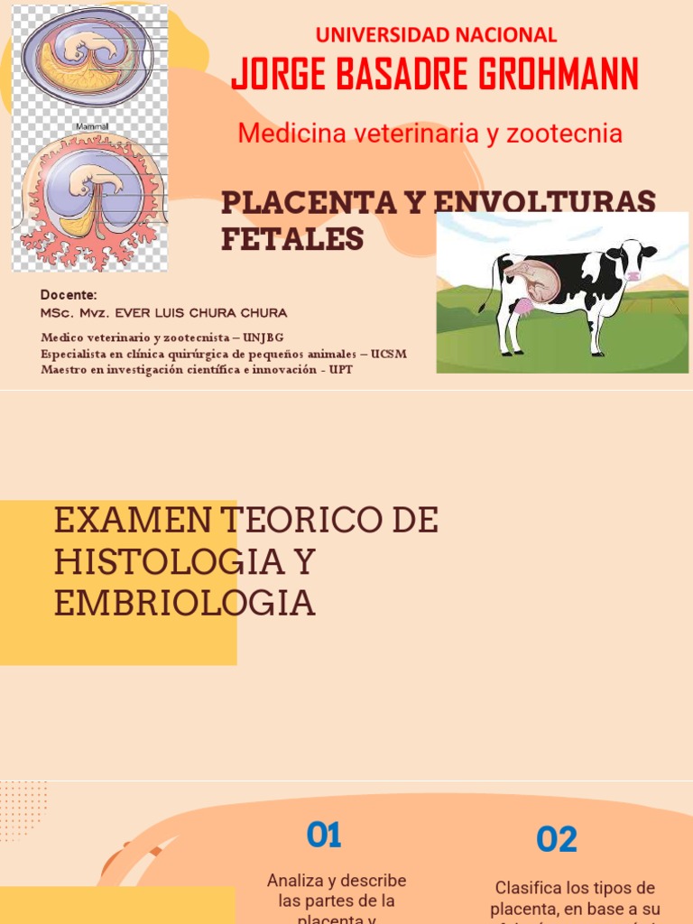 04-Placenta y Envolturas Fetales | PDF | Placenta | Feto