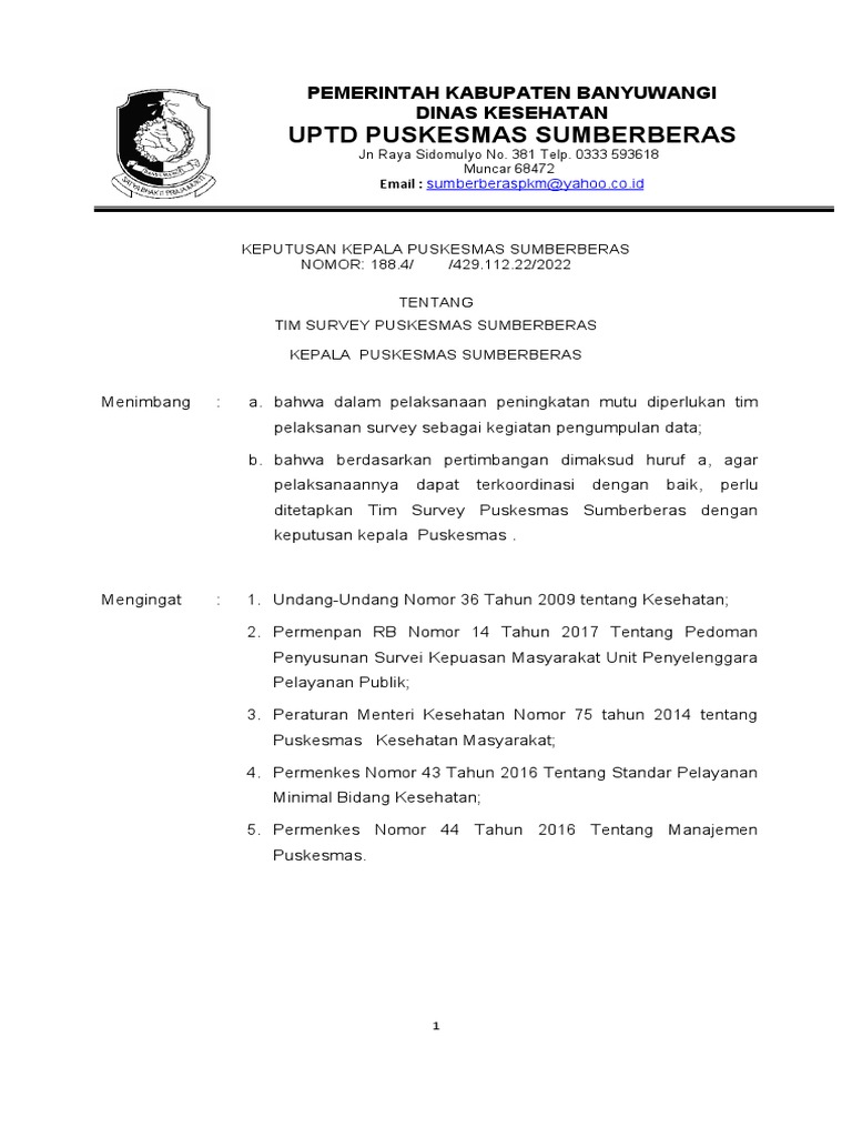 SK TIM Survey SMD | PDF