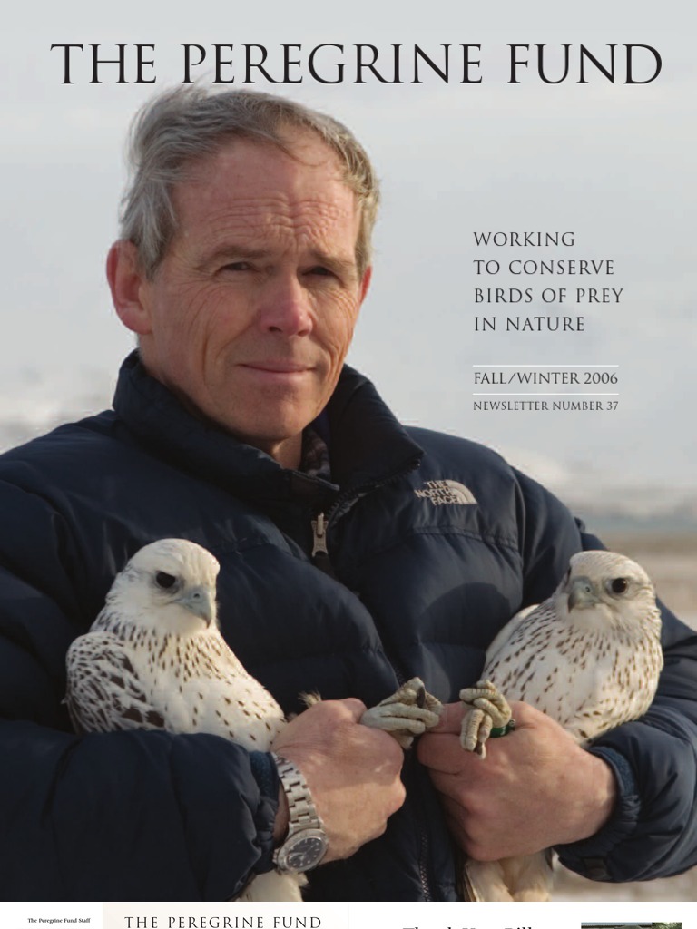 The Peregrine Fund Newsletter FALL-WINTER 2006 | PDF | Falconry | Birds Of Prey