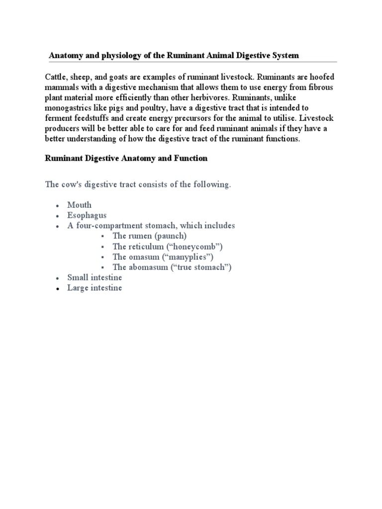 Anatomy and Physiology of The Ruminant Animal Digestive System | PDF ...