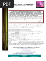 Aurora Borealis Quiz: Test Your Knowledge | PDF