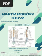 Proyección AP de Atlas y Axis | PDF | La columna vertebral | Vértebra