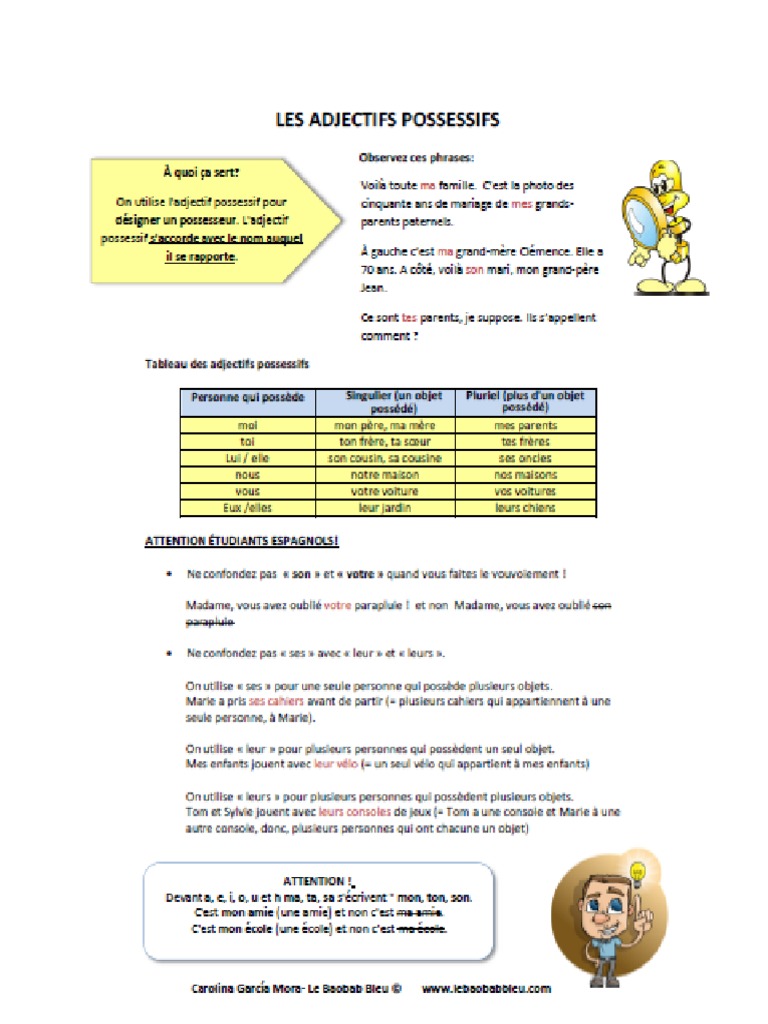 Les Adjectifs Possessifs - Exercices | PDF