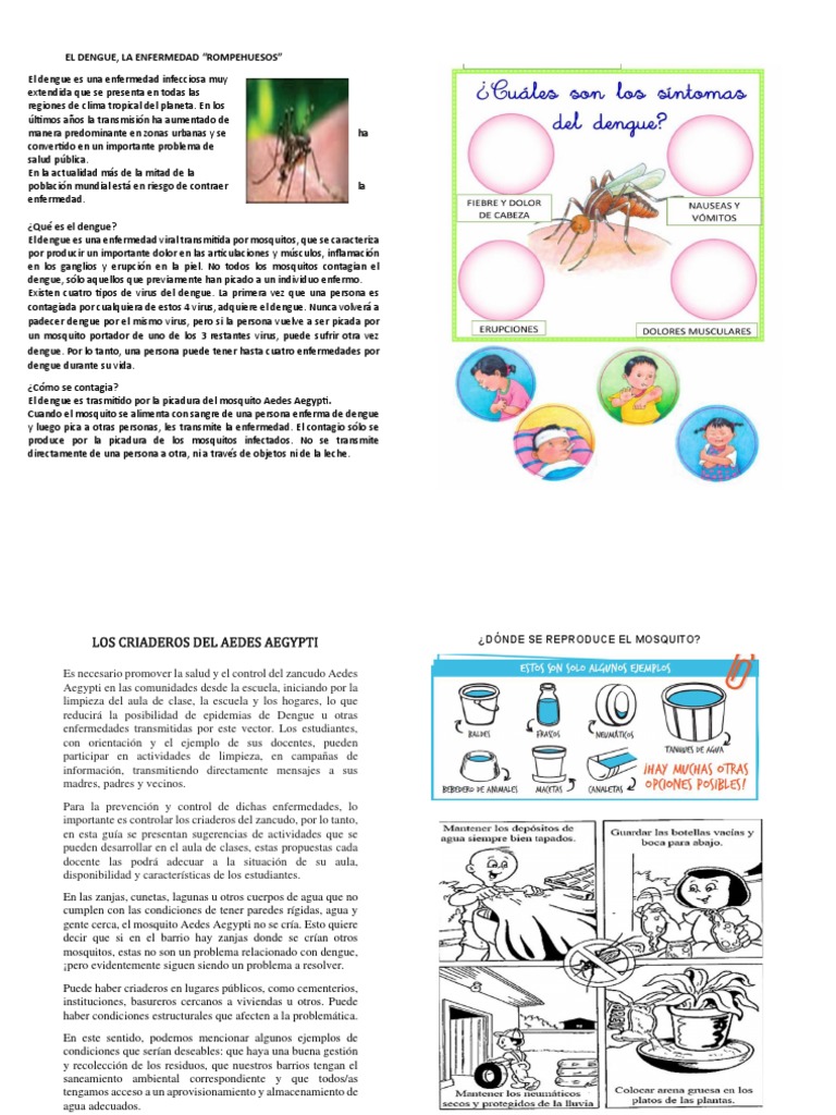 Ficha de Trabajo Dengue 1 | PDF | Enfermedades animales | Medicina CLINICA
