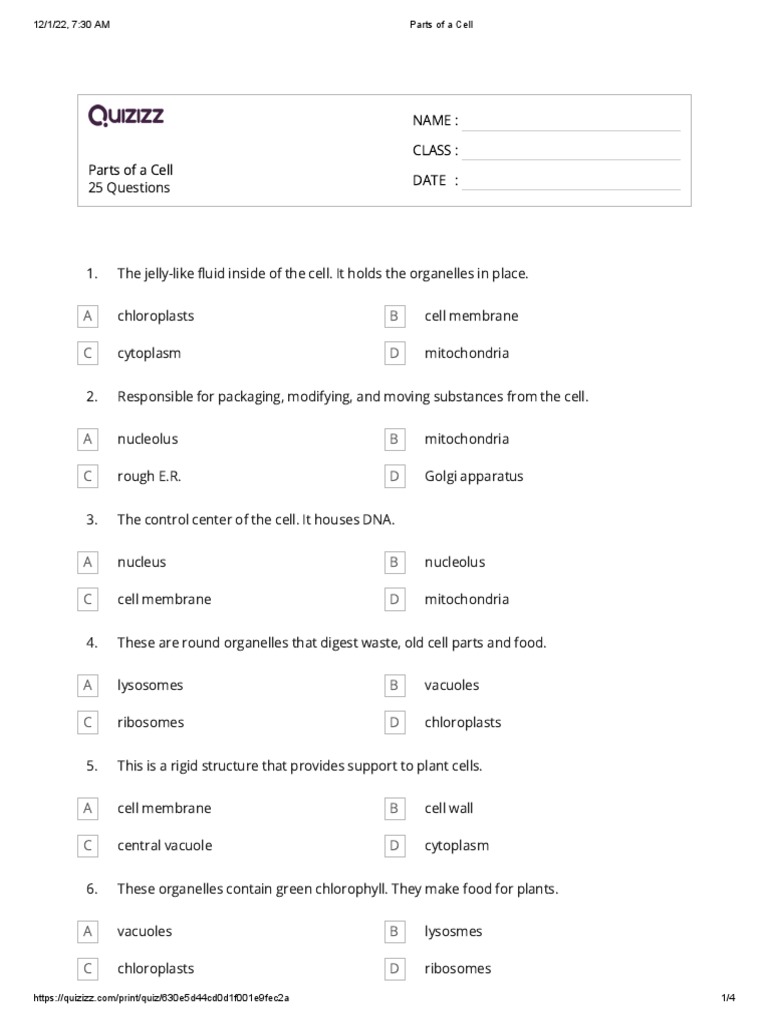 Parts of A Cell | PDF | Cell (Biology) | Organelle
