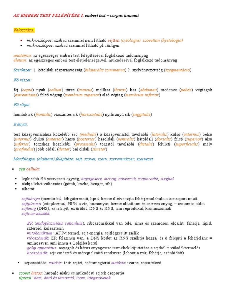 Az Emberi Test Felépítése Anatómia Ápolás | PDF