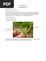 RBD Design and ANOVA Guide | PDF | Standard Error | Errors And Residuals