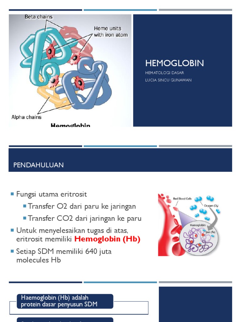 Hemoglobin: Struktur dan Fungsi | PDF