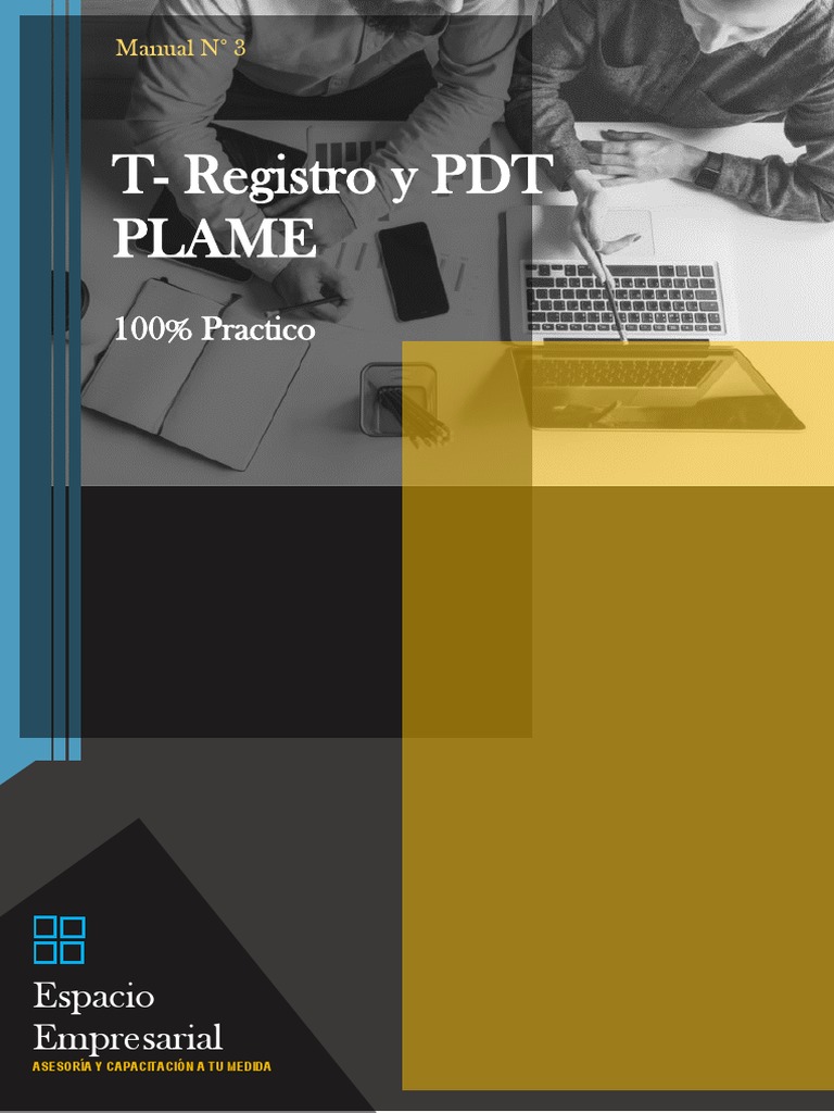Manual (3) T-Registro y Plame 100% Practico - 230328 - 235852 | PDF