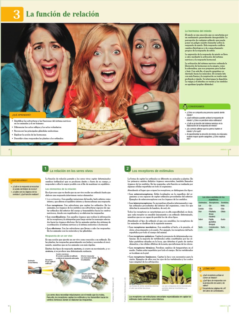 3RA UNIDAD La Funcion de Relacion | PDF | Gusto | Percepción visual