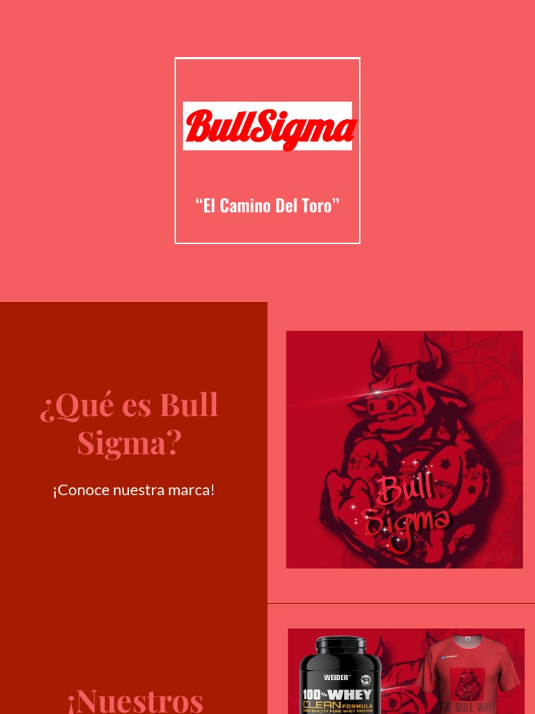 Bull Sigma | PDF
