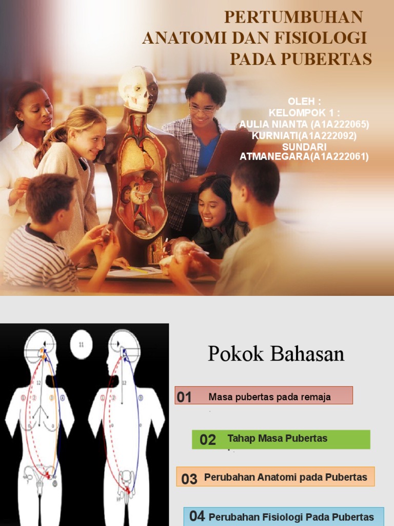 Perubahan Masa Pubertas | PDF