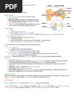 Az Emberi Test Felépítése Anatómia Ápolás | PDF