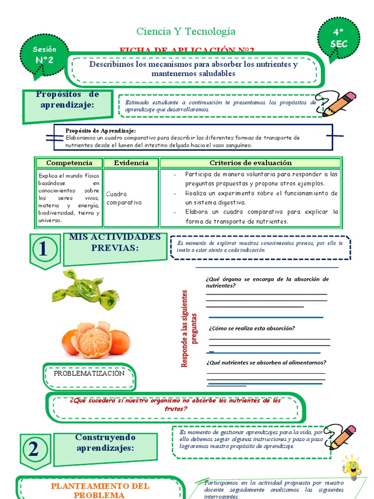 4° FICHA-S2-EXP.2-CyT | PDF