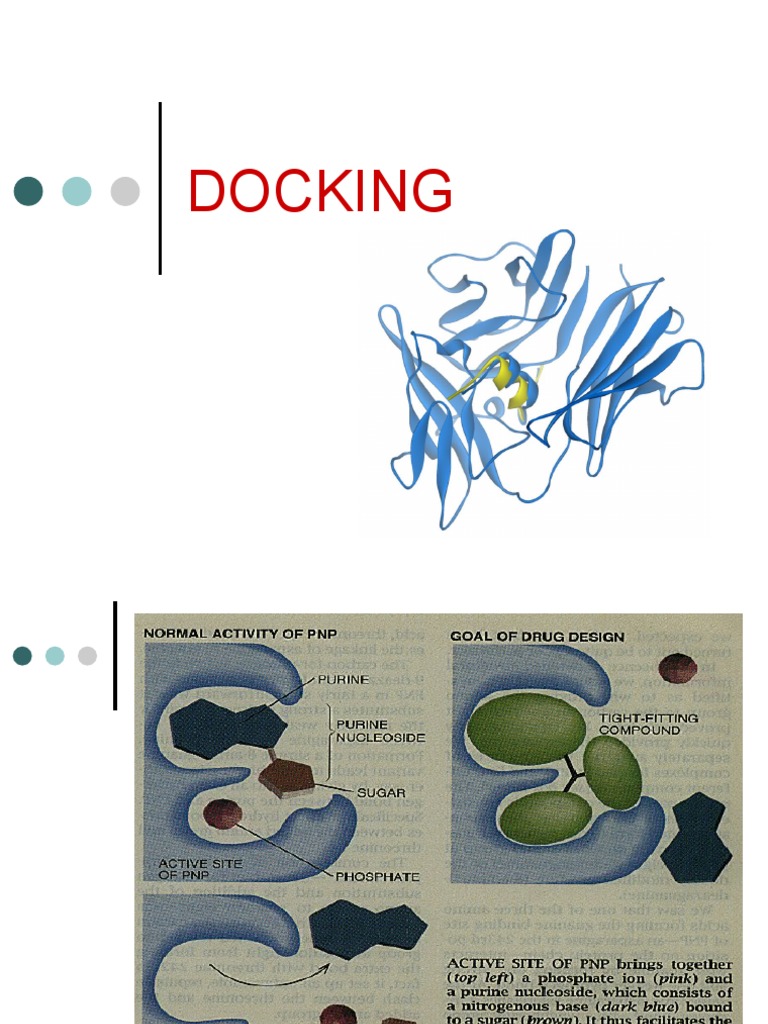 Docking 1 | PDF | Docking (Molecular) | Ligand (Biochemistry)