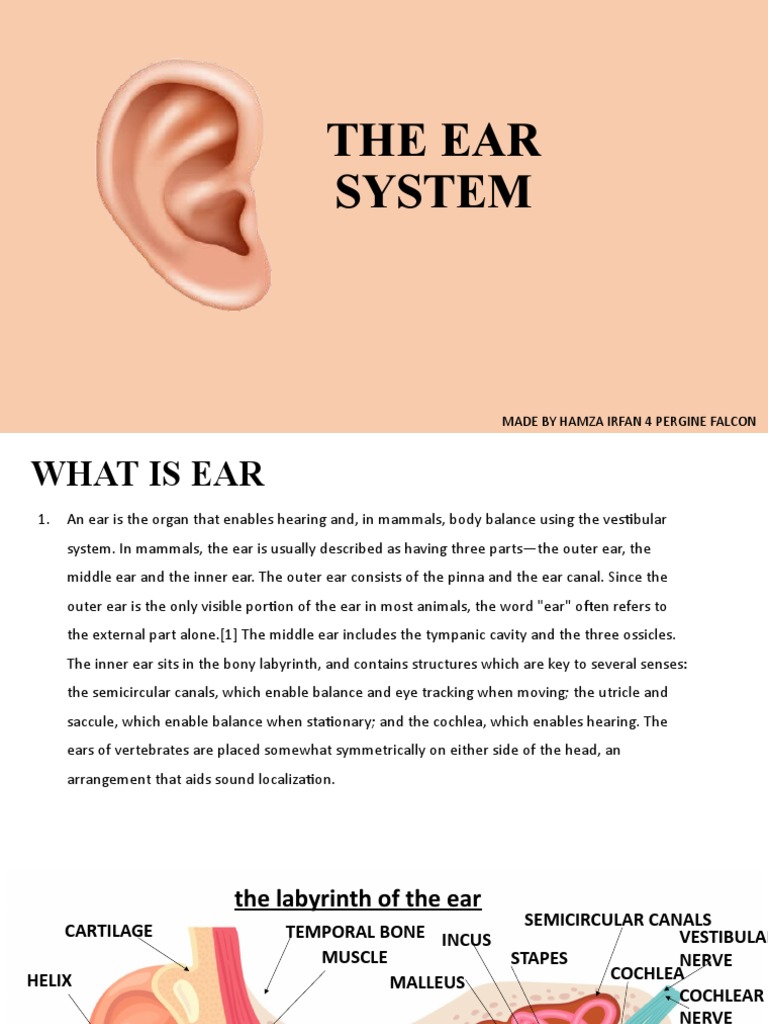 The Ear System | PDF