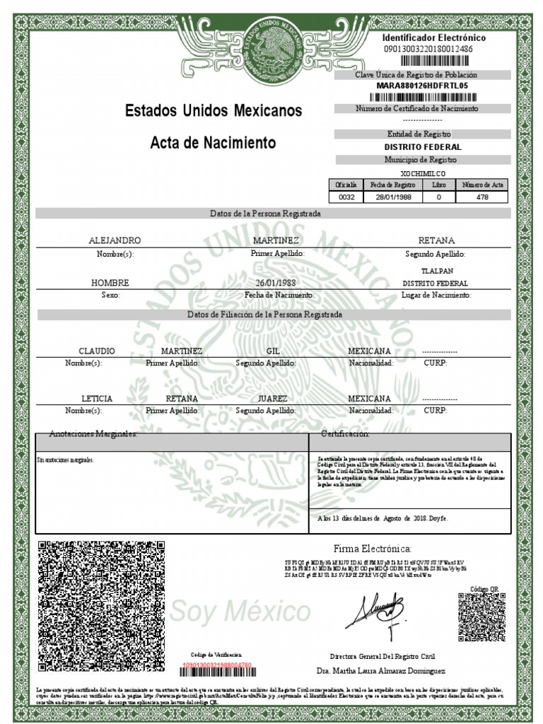 Nuevo Formato de Actas de Nacimiento | PDF | Gestión de datos | Fuentes
