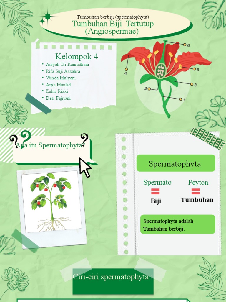 Ppt angiospermae | PDF