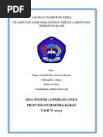 Identifikasi Asam-Basa dengan Lakmus | PDF | Sains & Matematika